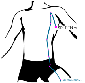 Spleen 21: The Great Embrace - Mend Acupuncture