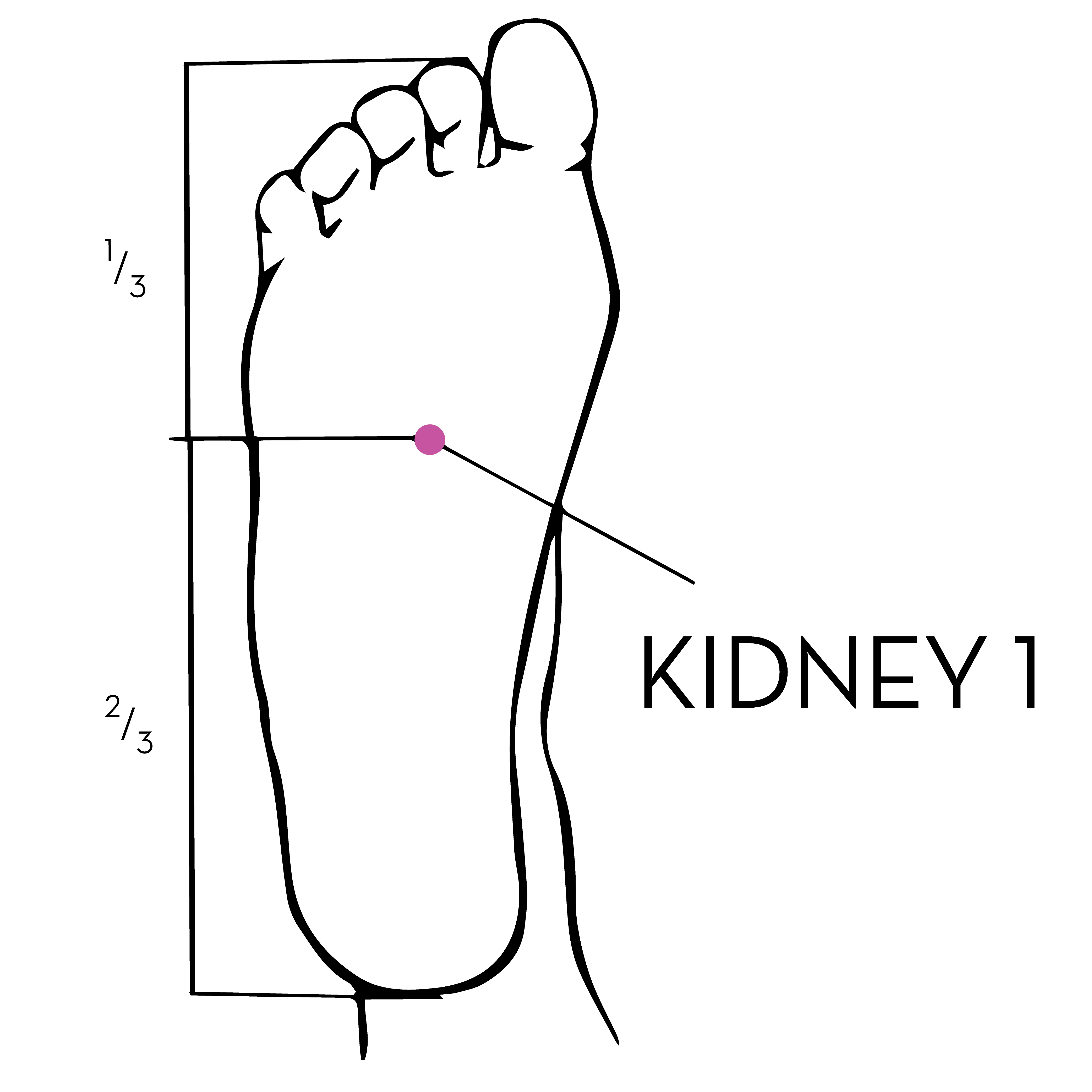 kidney 1 - Mend Acupuncture