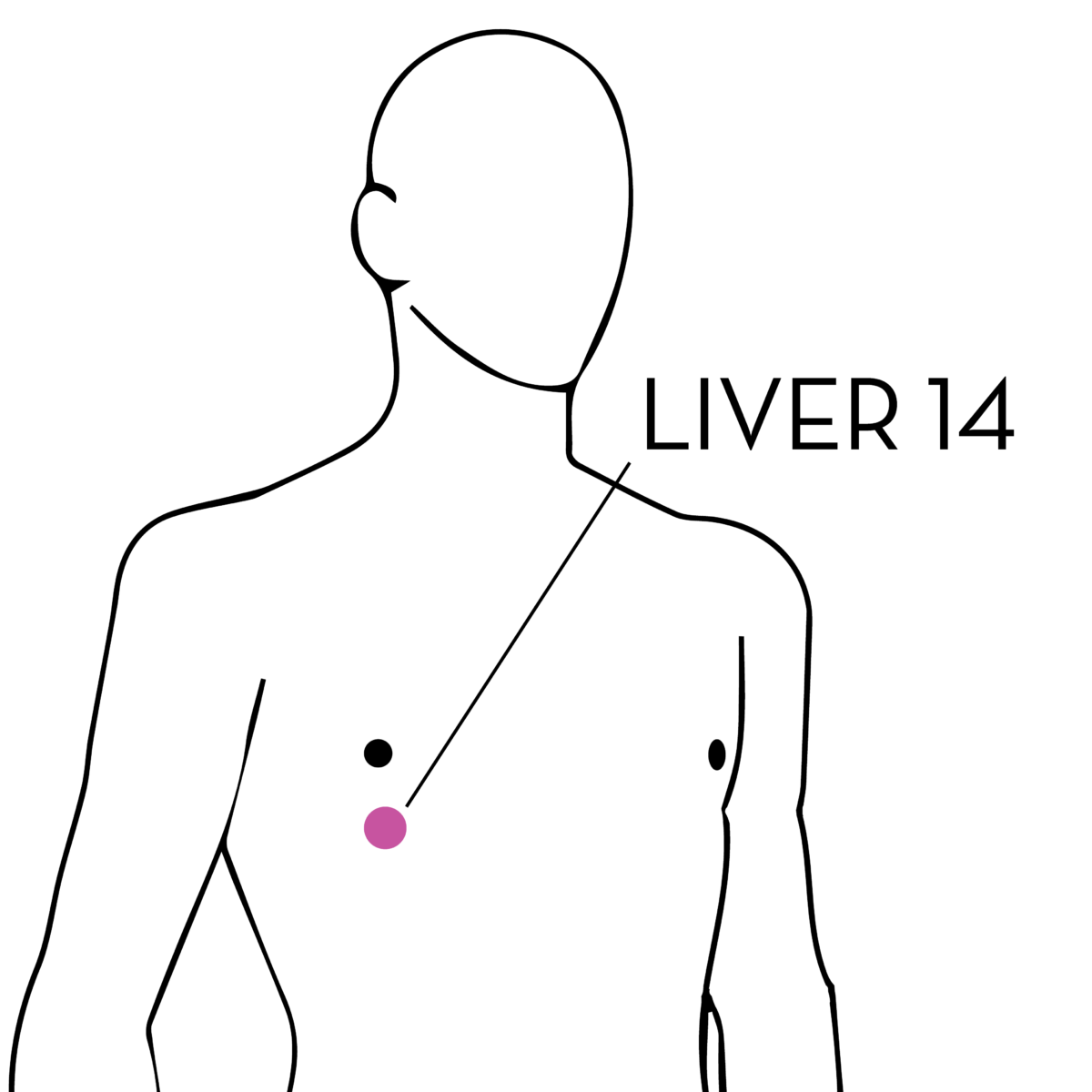 liver 14 - Mend Acupuncture