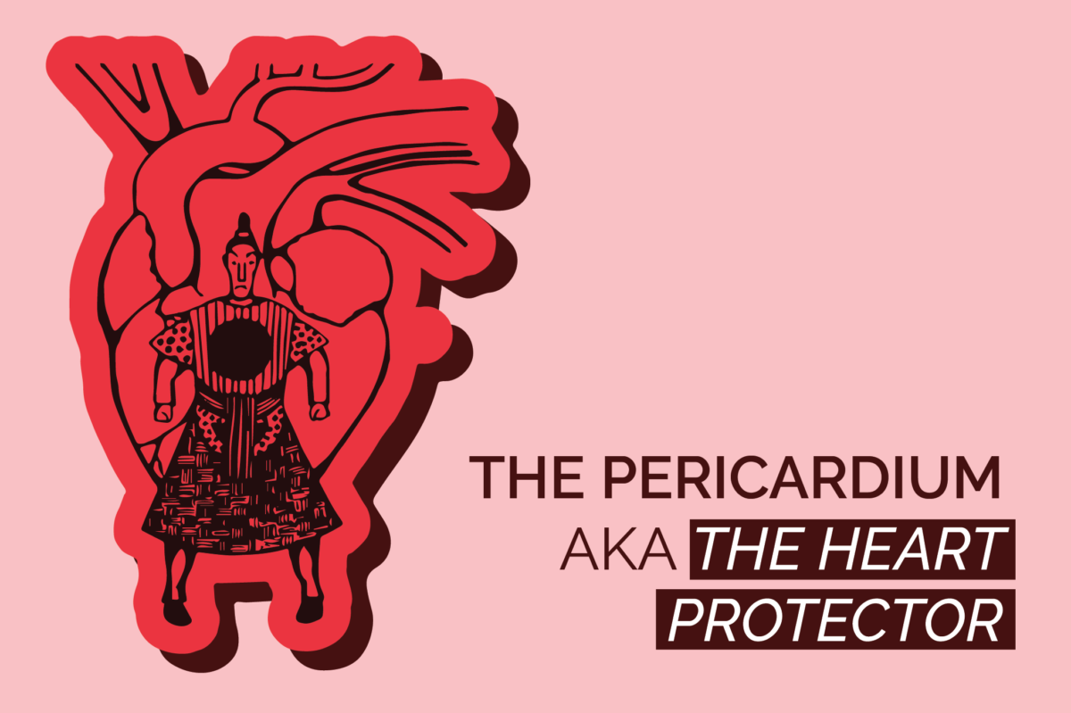 Our Heart's Protector: The Pericardium - Mend Acupuncture