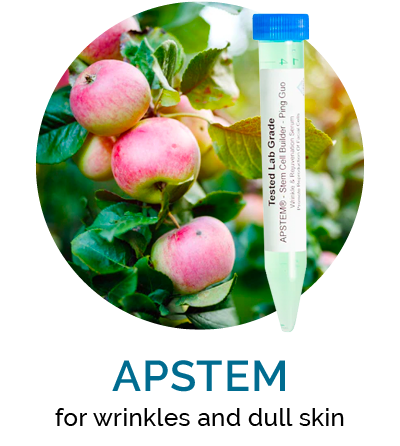 Apstem - Mend Acupuncture